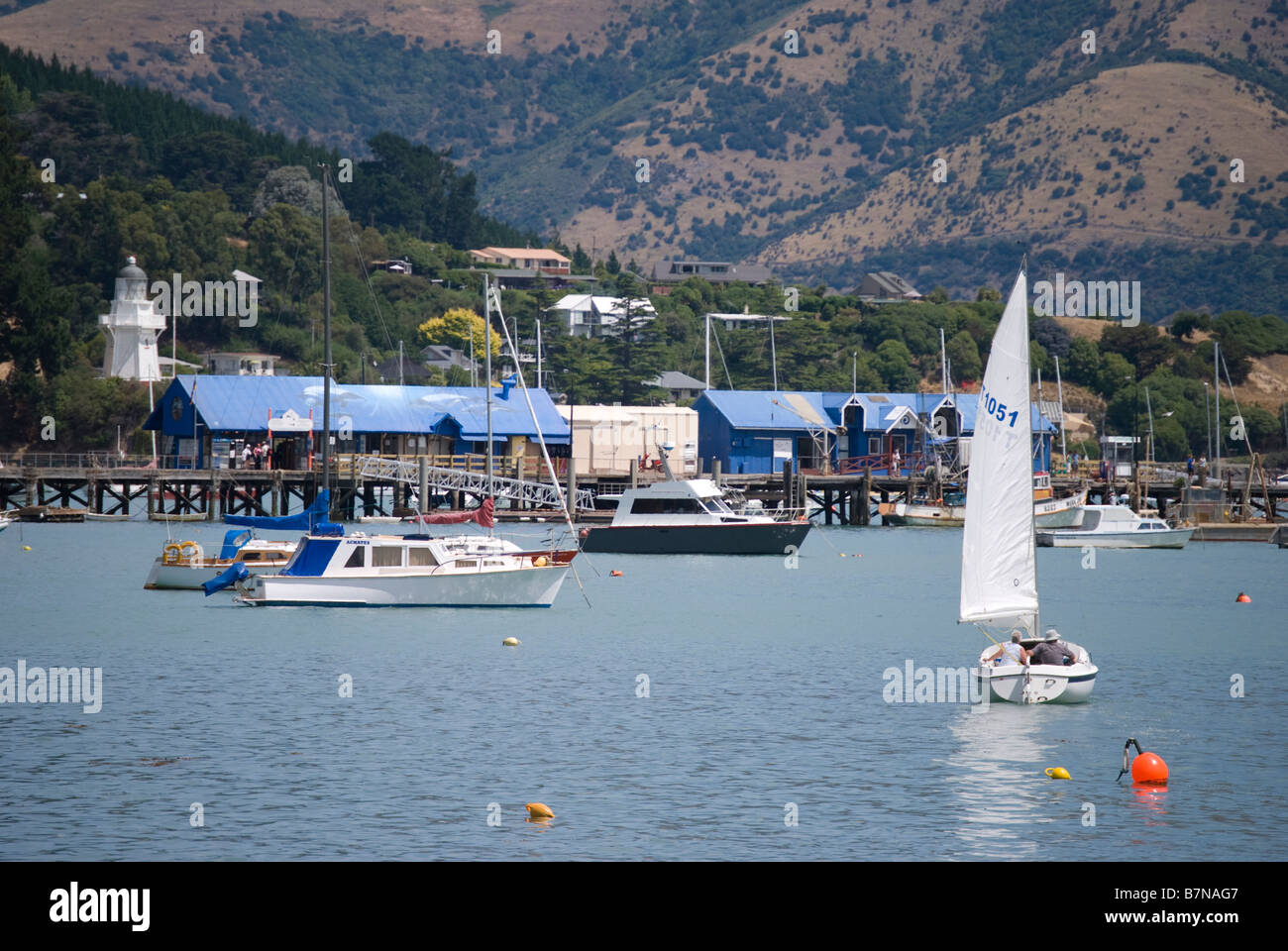 View across harbour, French Bay, Akaroa, Banks Peninsula, Canterbury ...