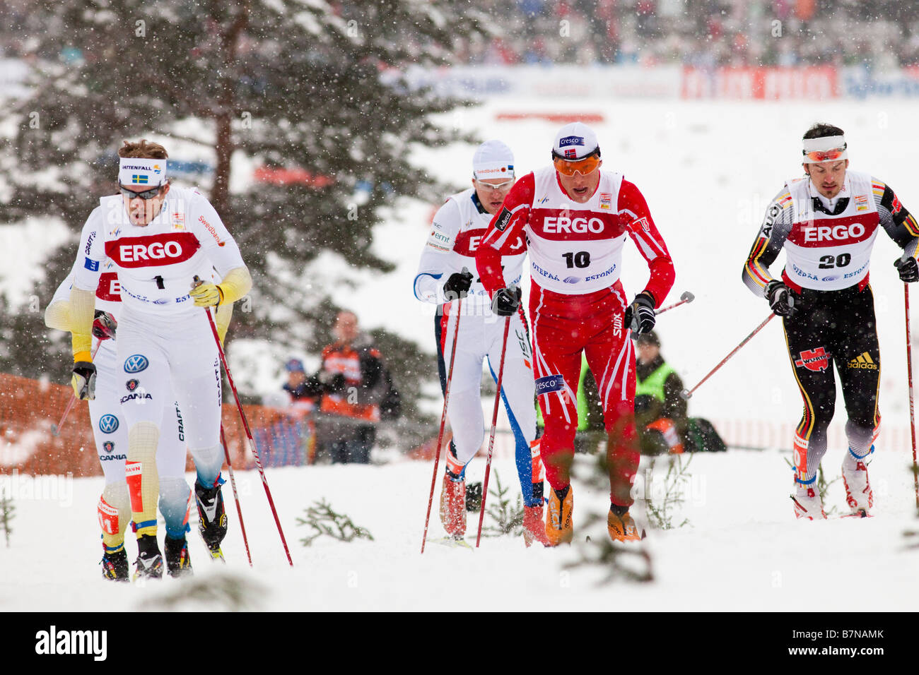 Cross country ski racers hi-res stock photography and images - Alamy