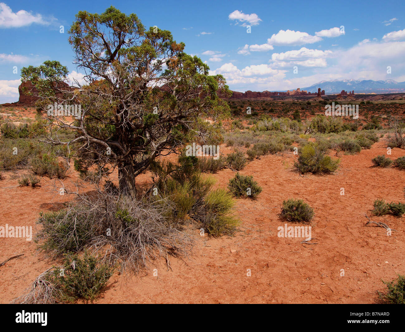 Scene from Archies National Park in Moab, Utah Stock Photo - Alamy