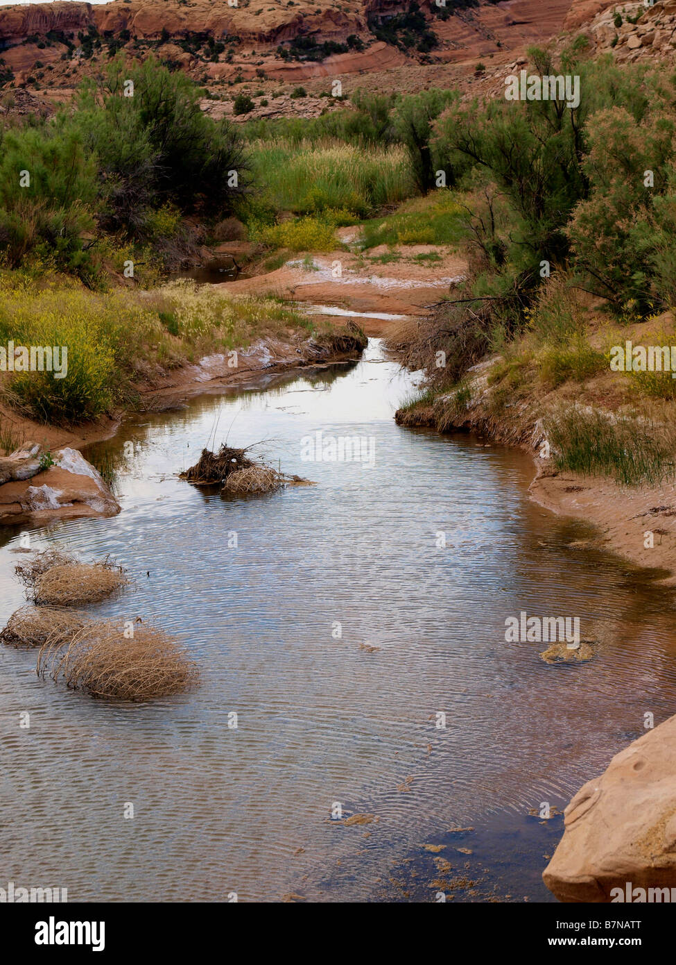 Scene from Archies National Park in Moab, Utah Stock Photo - Alamy