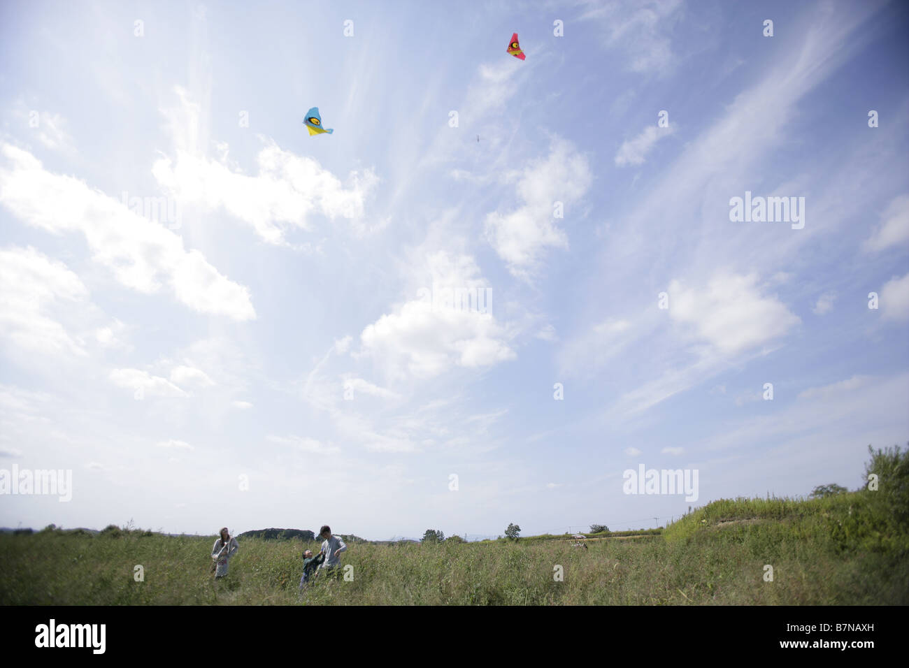 Japanese kite hi-res stock photography and images - Alamy