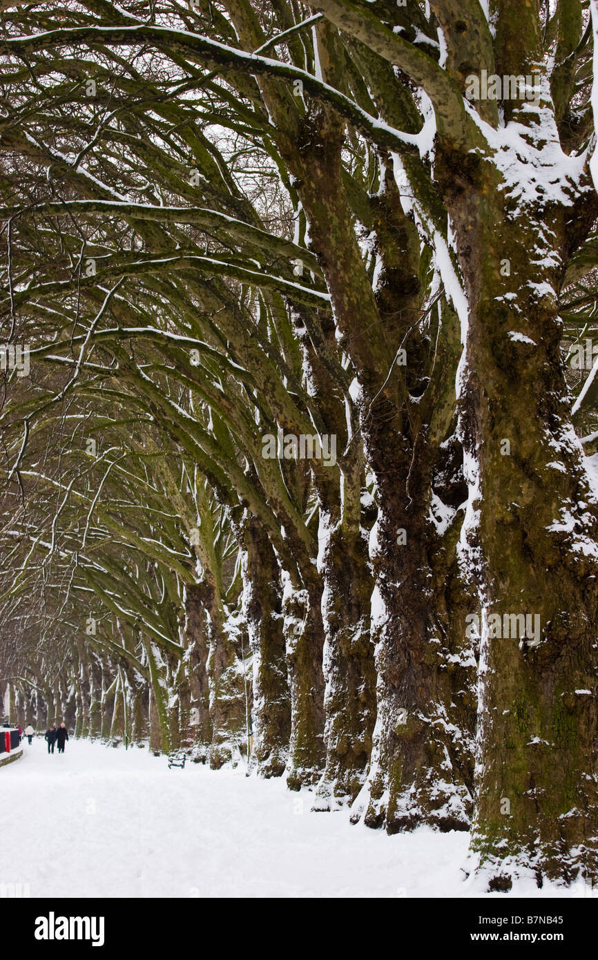 Heavy Snow Falls in London United Kingdom Stock Photo - Alamy