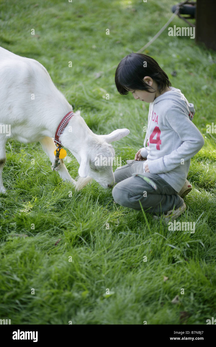 A boy and a goat Stock Photo - Alamy