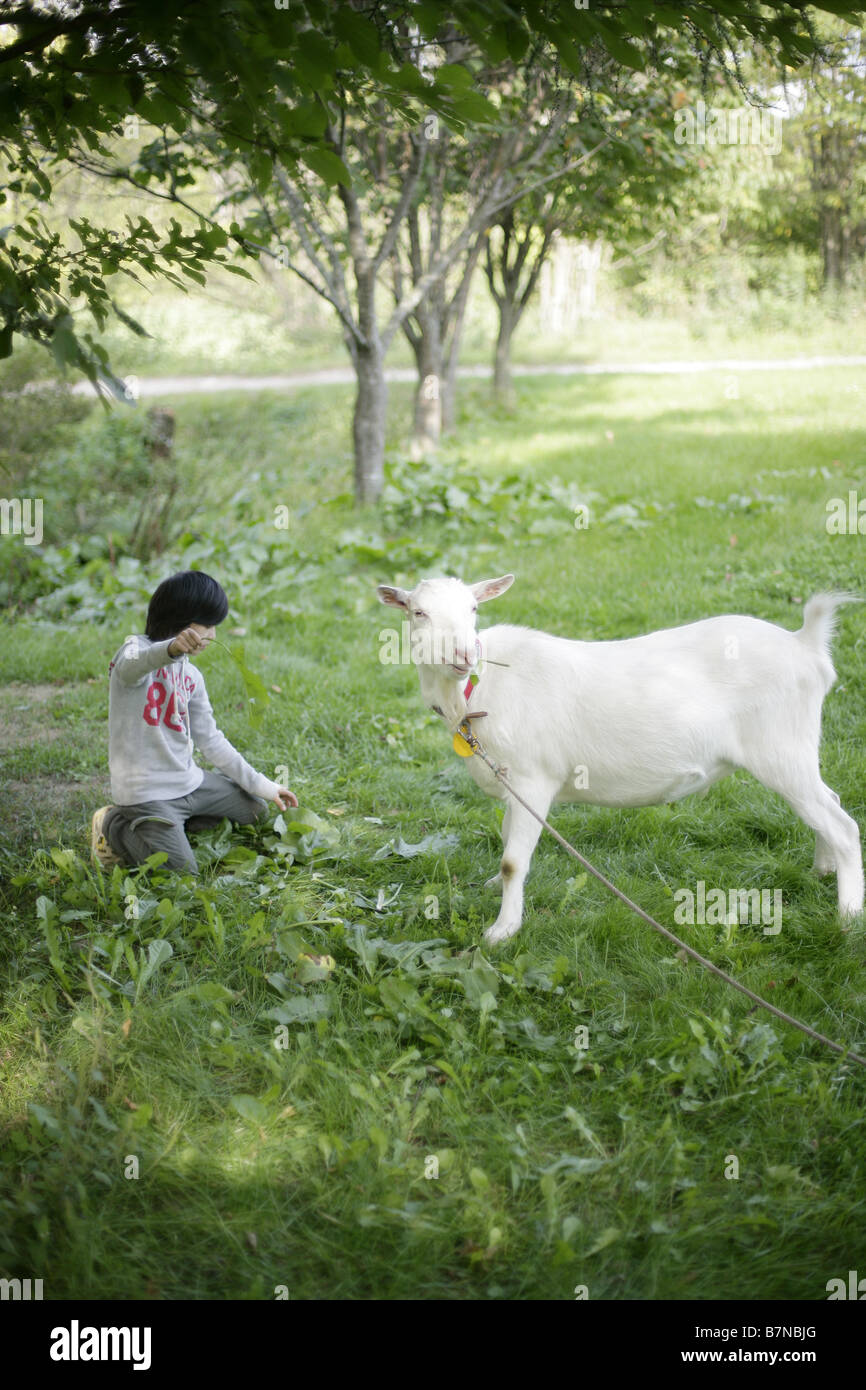 A boy and a goat Stock Photo - Alamy
