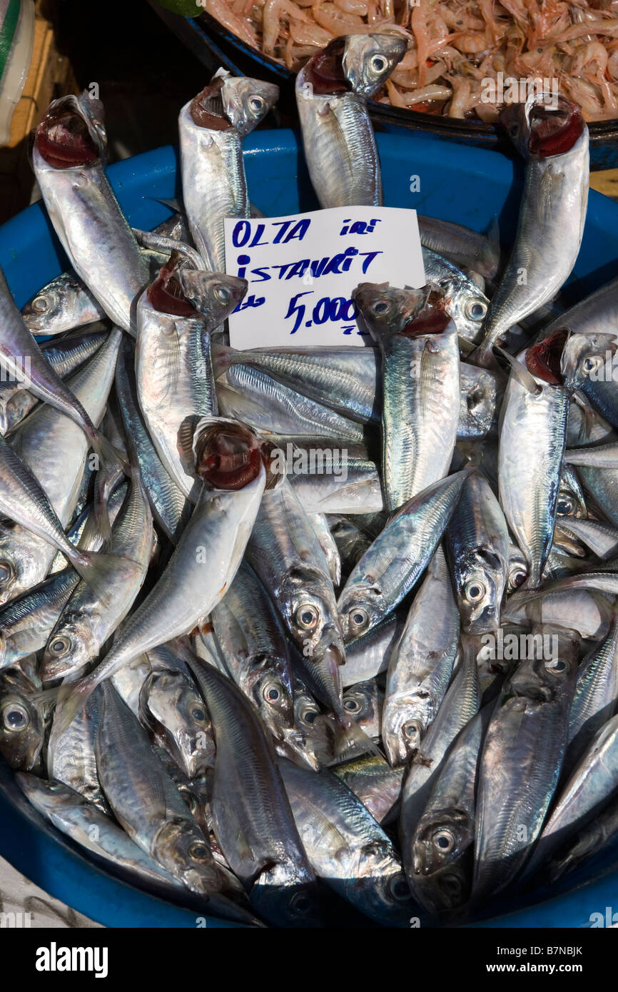 Fish Market Istanbul Turkey Stock Photo - Alamy