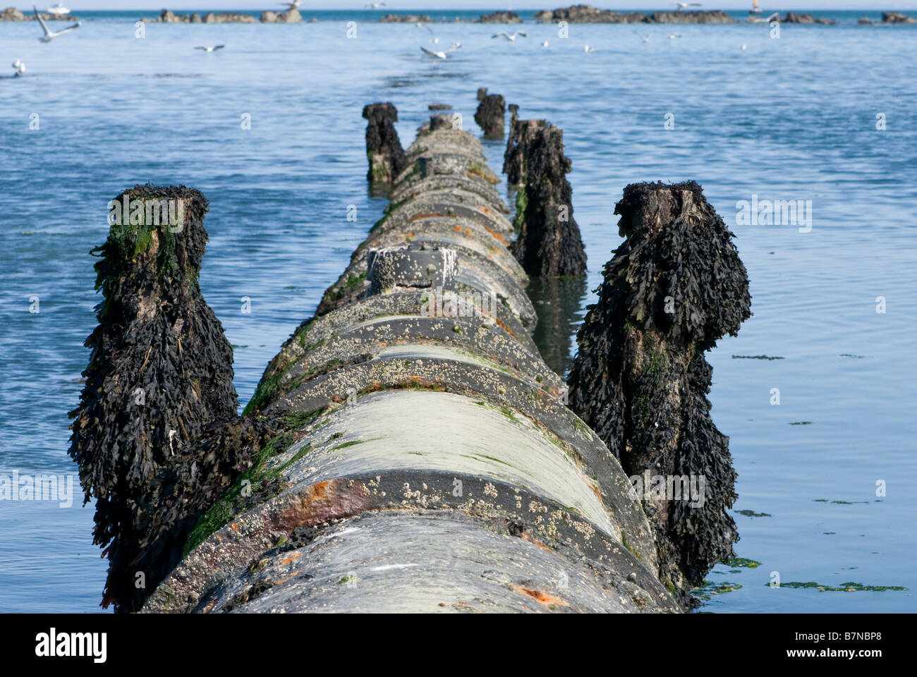Raw sewage going into ocean hi-res stock photography and images - Alamy