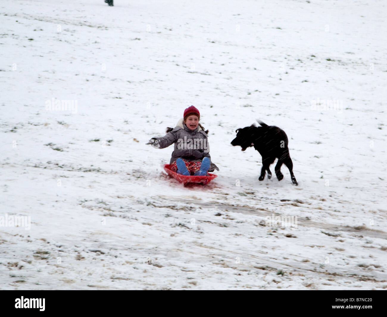 Sledging snow hi-res stock photography and images - Alamy