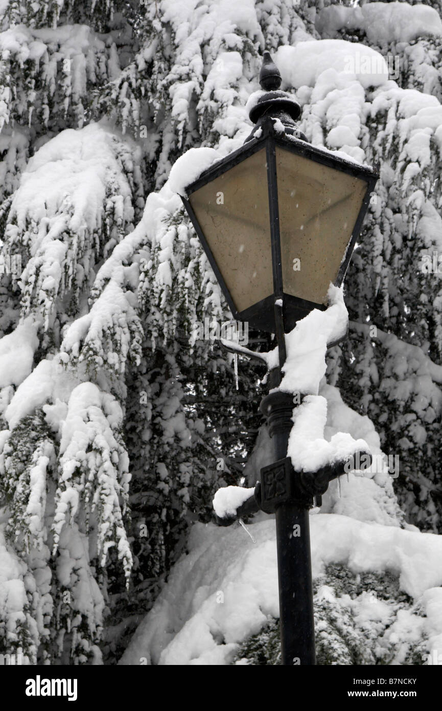 Battersea Park Winter High Resolution Stock Photography and Images - Alamy
