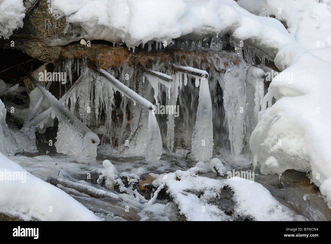 Ice flow in the winter forest Stock Photo - Alamy