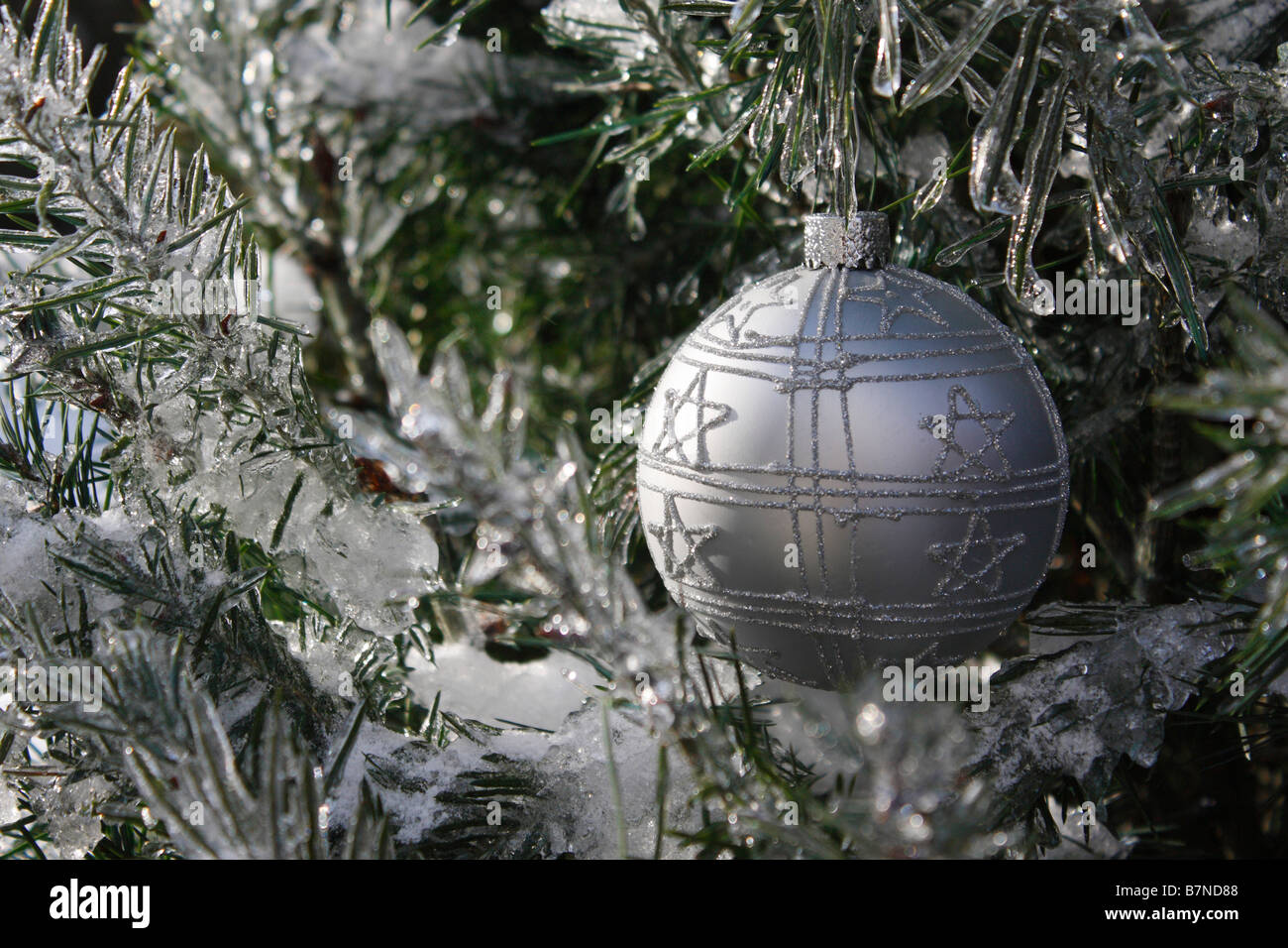 Christmas tree with one a silver ball ornaments outdoor decor in the ...
