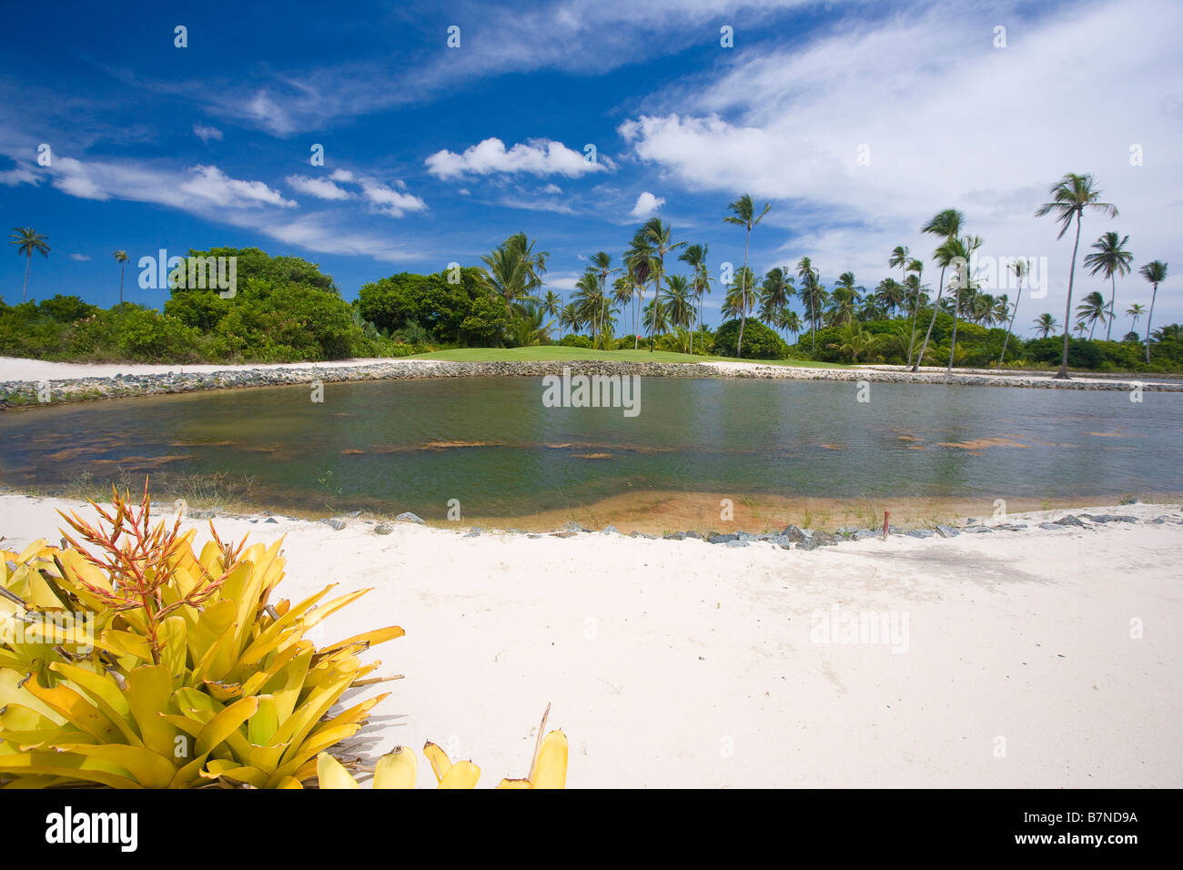 White sand beaches hi-res stock photography and images - Alamy