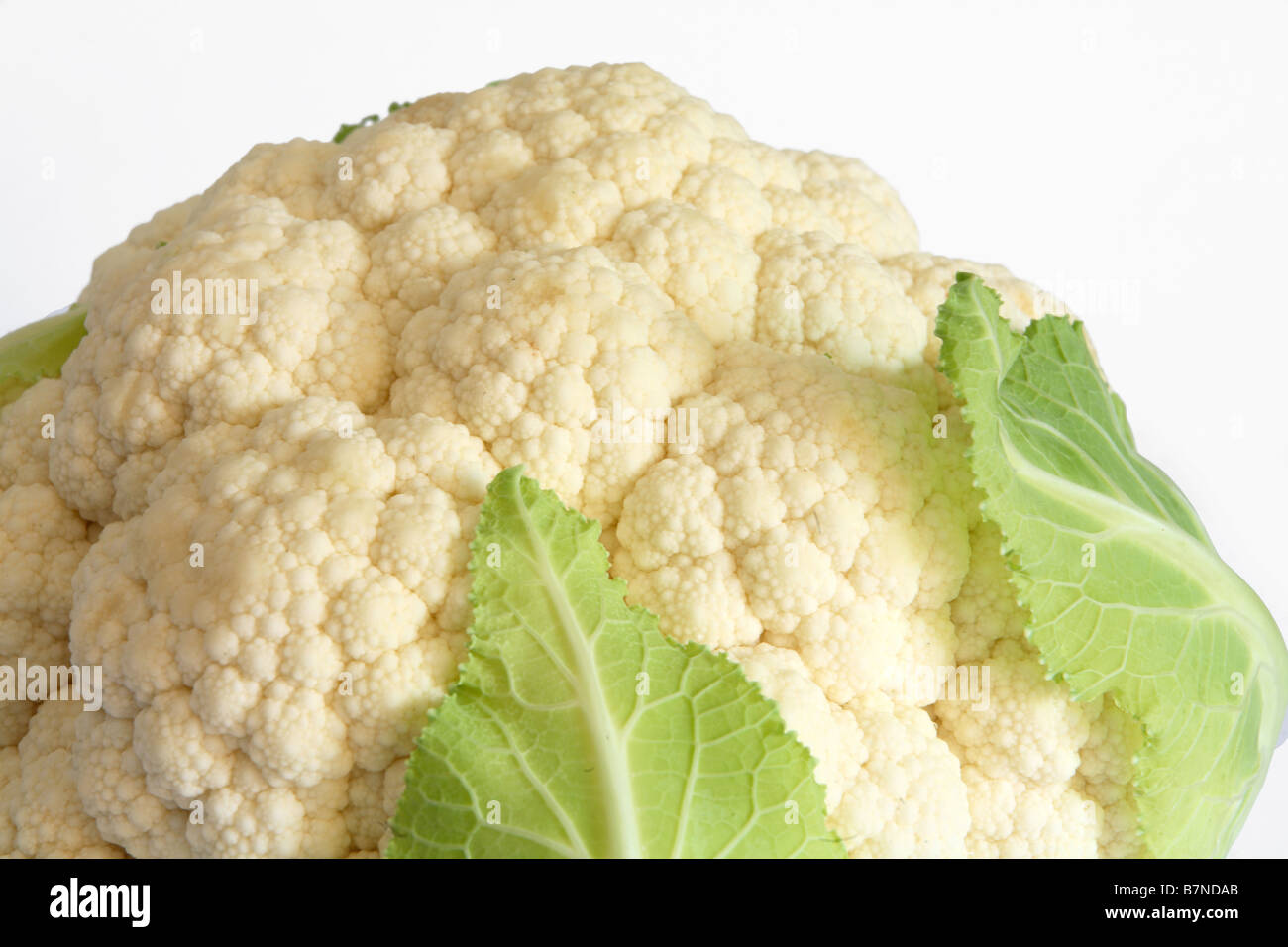 Close up on a head of cauliflower Stock Photo - Alamy