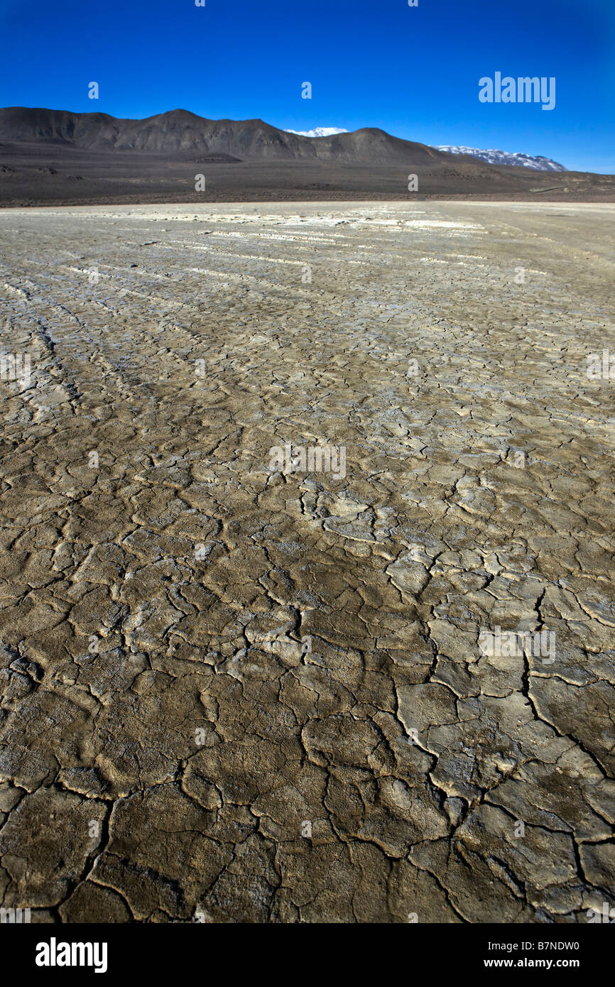 Cracked and dried mud of the playa a dried lake bed facing the Calico ...