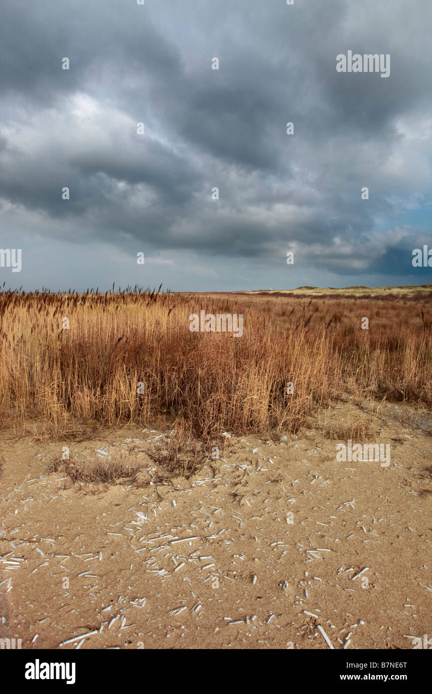 Birkdale beach hi-res stock photography and images - Alamy