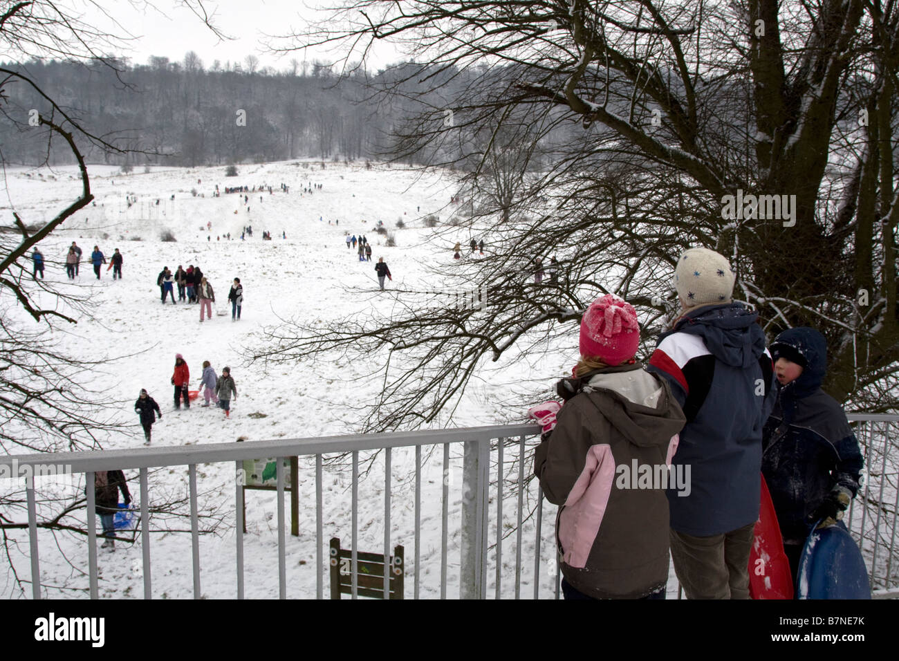 People enjoying an unexpected day off at Tring Park after overnight ...