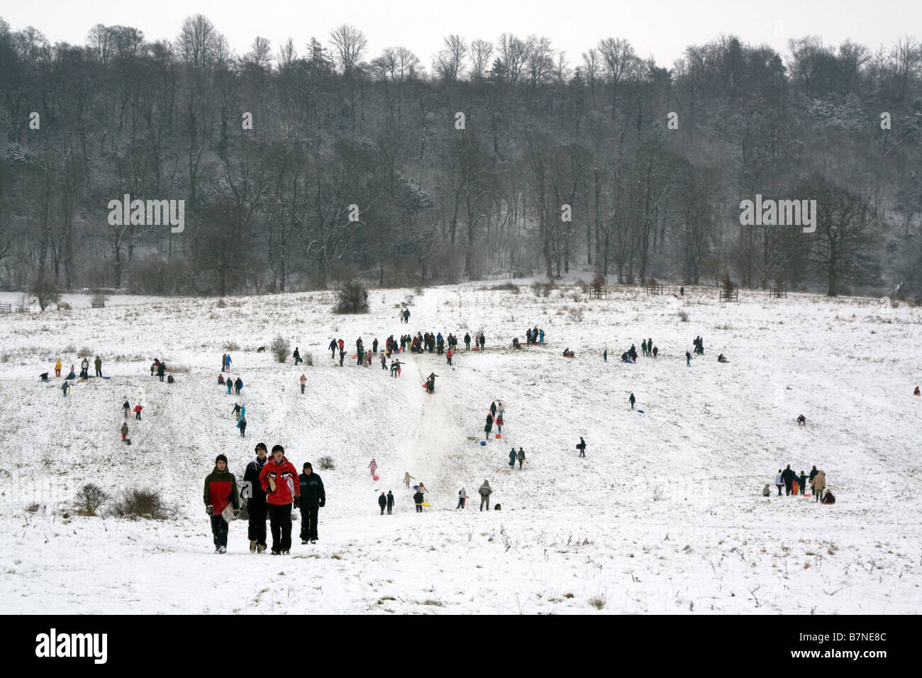 Tring Park - Hertfordshire Stock Photo - Alamy