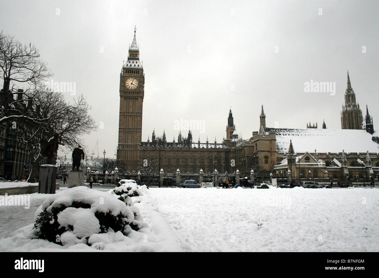 Snow blizzard bird hi-res stock photography and images - Alamy