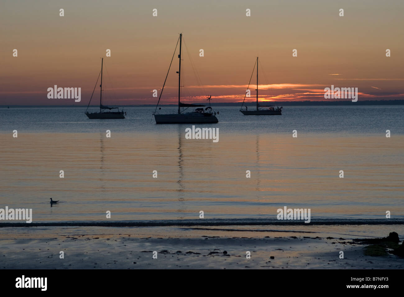 Yacht at Sunset on the Solent Stock Photo - Alamy