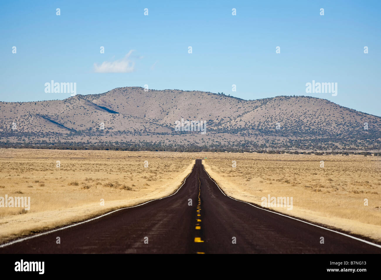 Road stretching into the horizon Stock Photo - Alamy