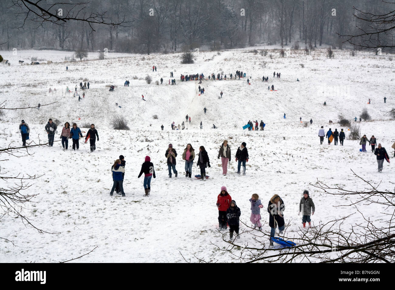 Crowds enjoying winter weather Tring Park Herts 2/2/2009 Stock Photo ...