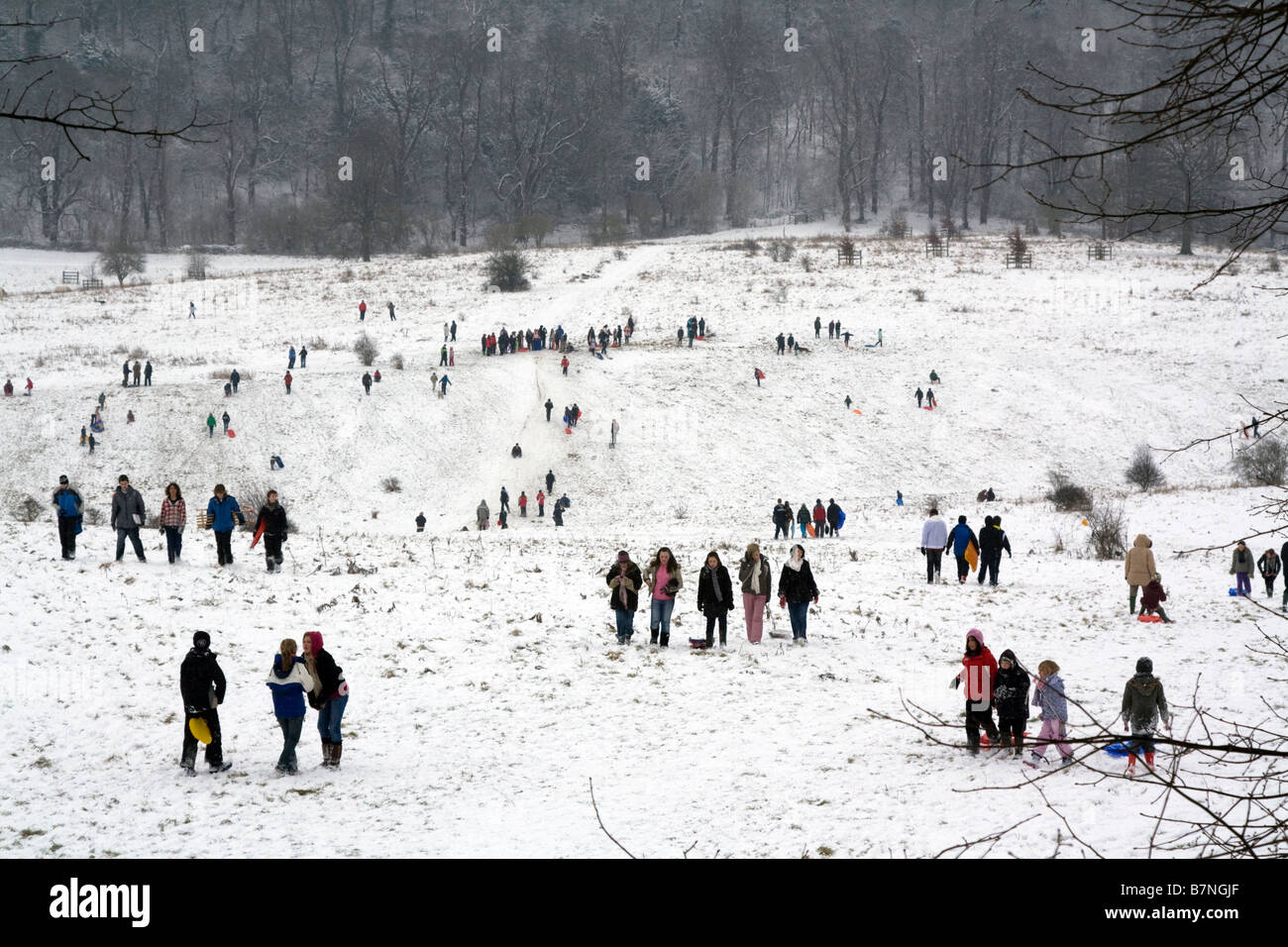 Crowds enjoying winter weather Tring Park Herts 2/2/2009 Stock Photo ...