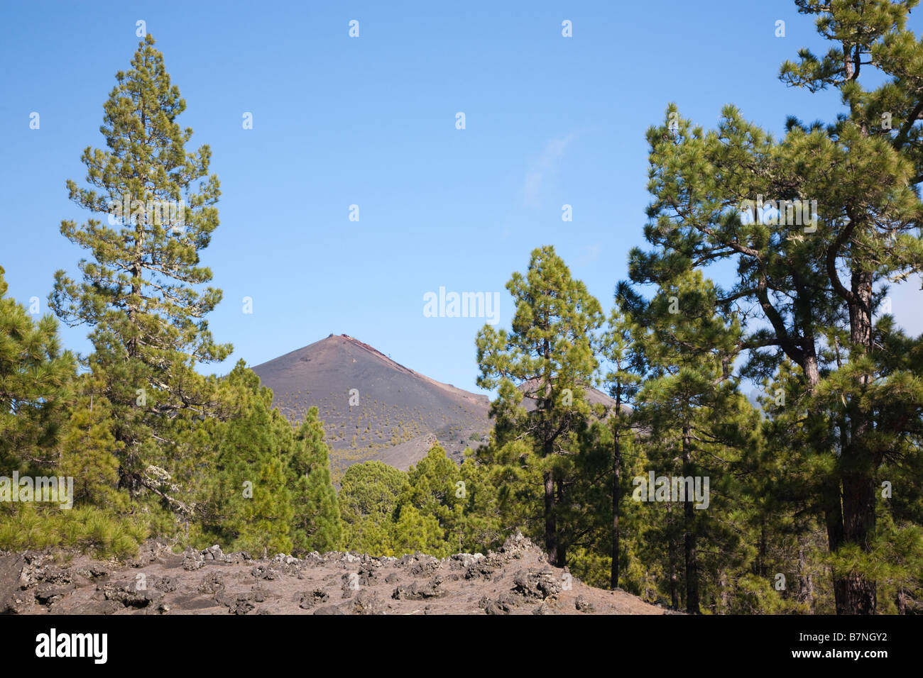 Vulcano San Martin, La Palma (Canary Islands, Spain Stock Photo - Alamy