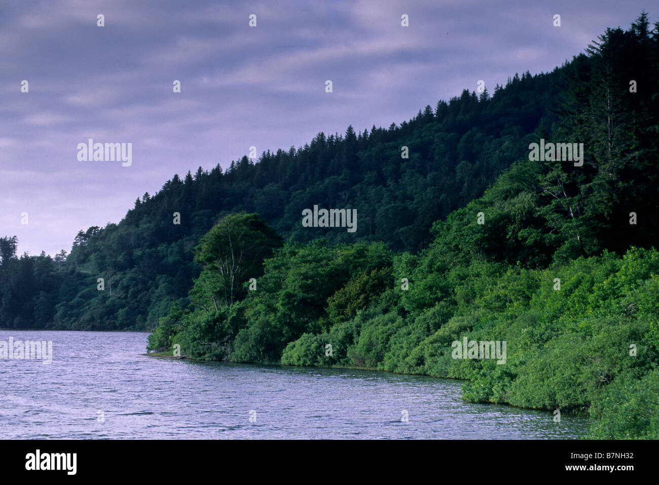 Humboldt lagoons state park hi-res stock photography and images - Alamy