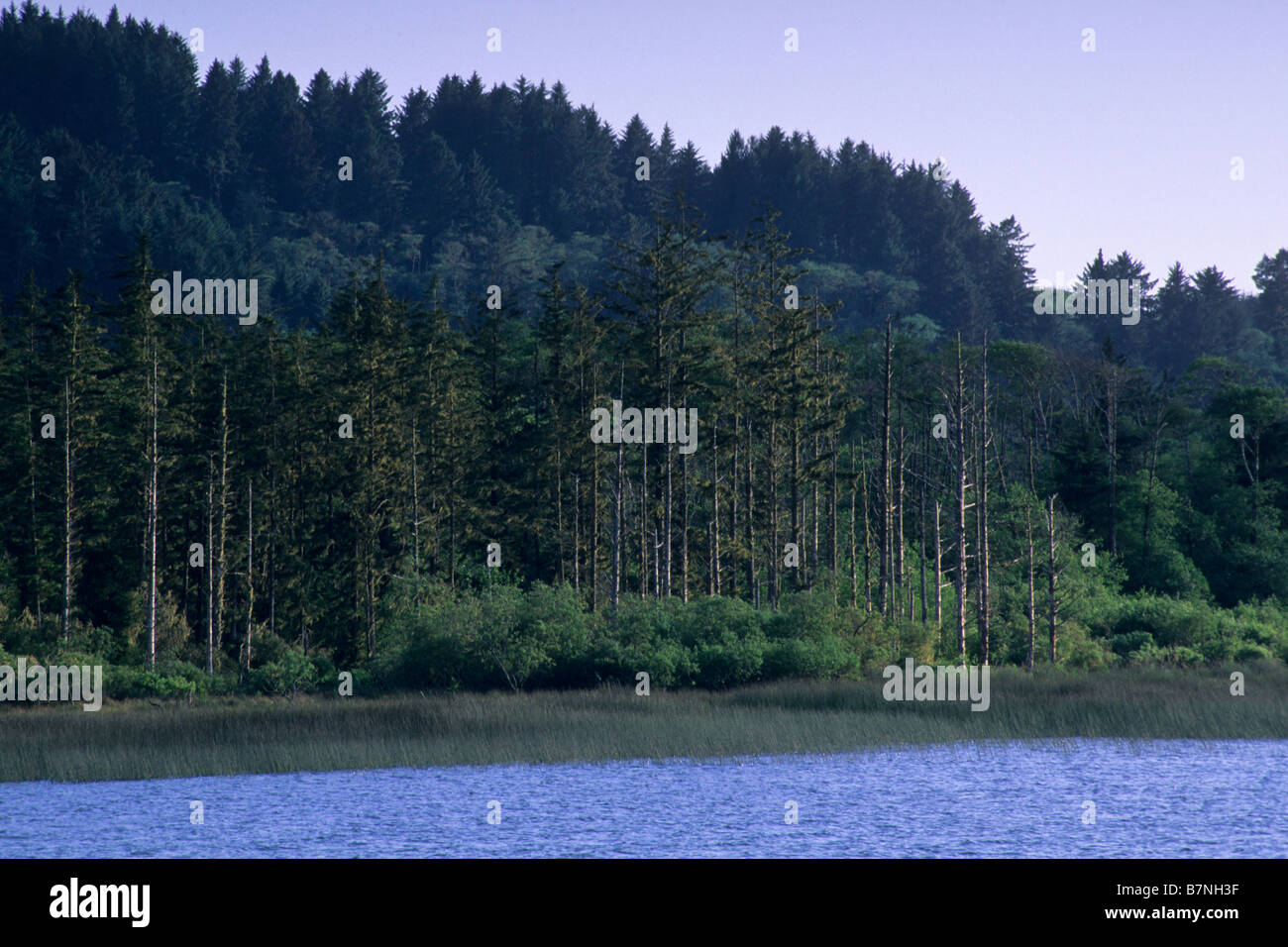 Humboldt lagoons state park hi-res stock photography and images - Alamy