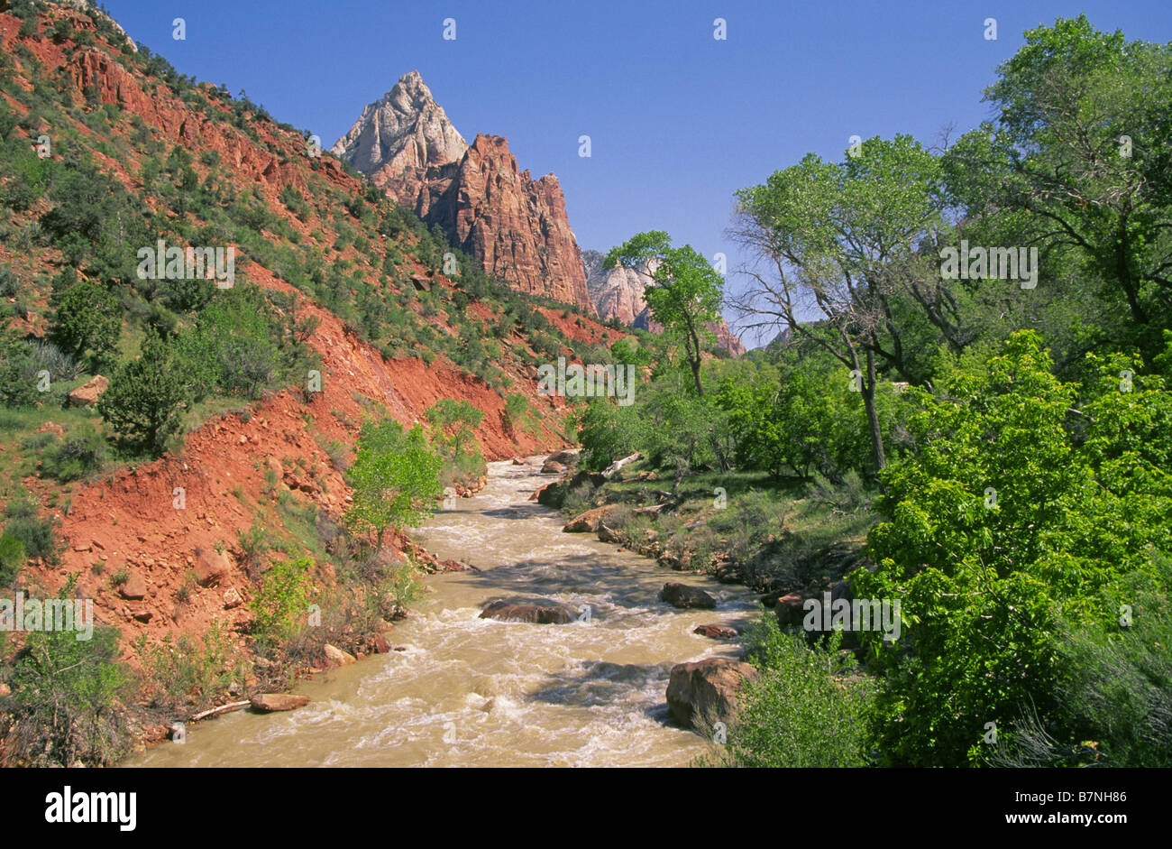 A view of the Virgin River and the steep red cliffs and giant ...