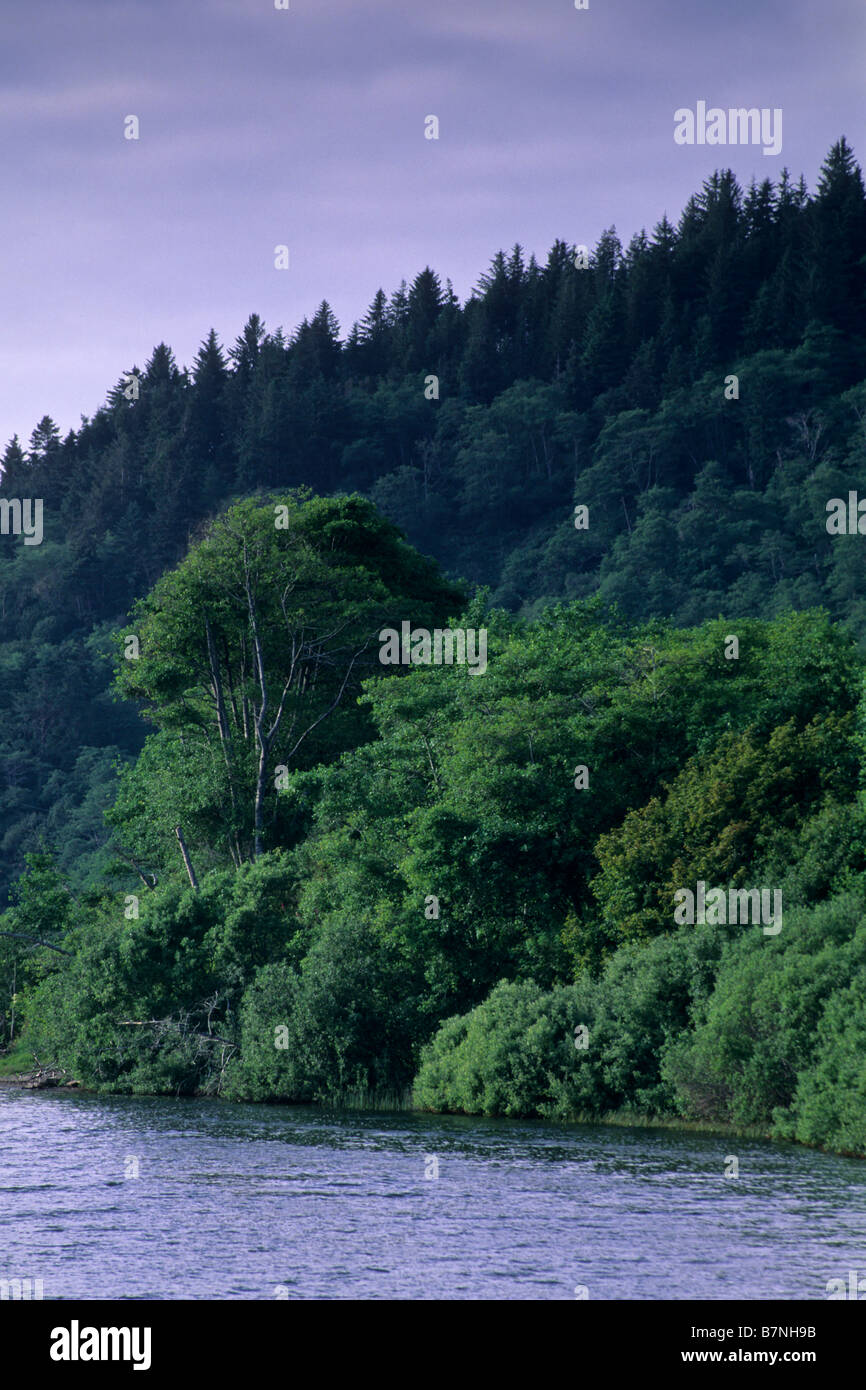 Humboldt lagoons state park hi-res stock photography and images - Alamy