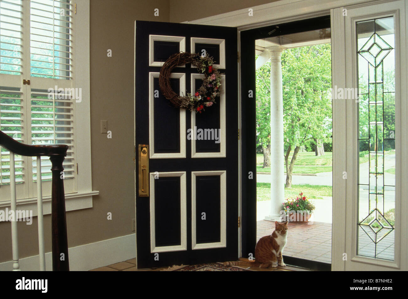 Suburban pet hi-res stock photography and images - Alamy