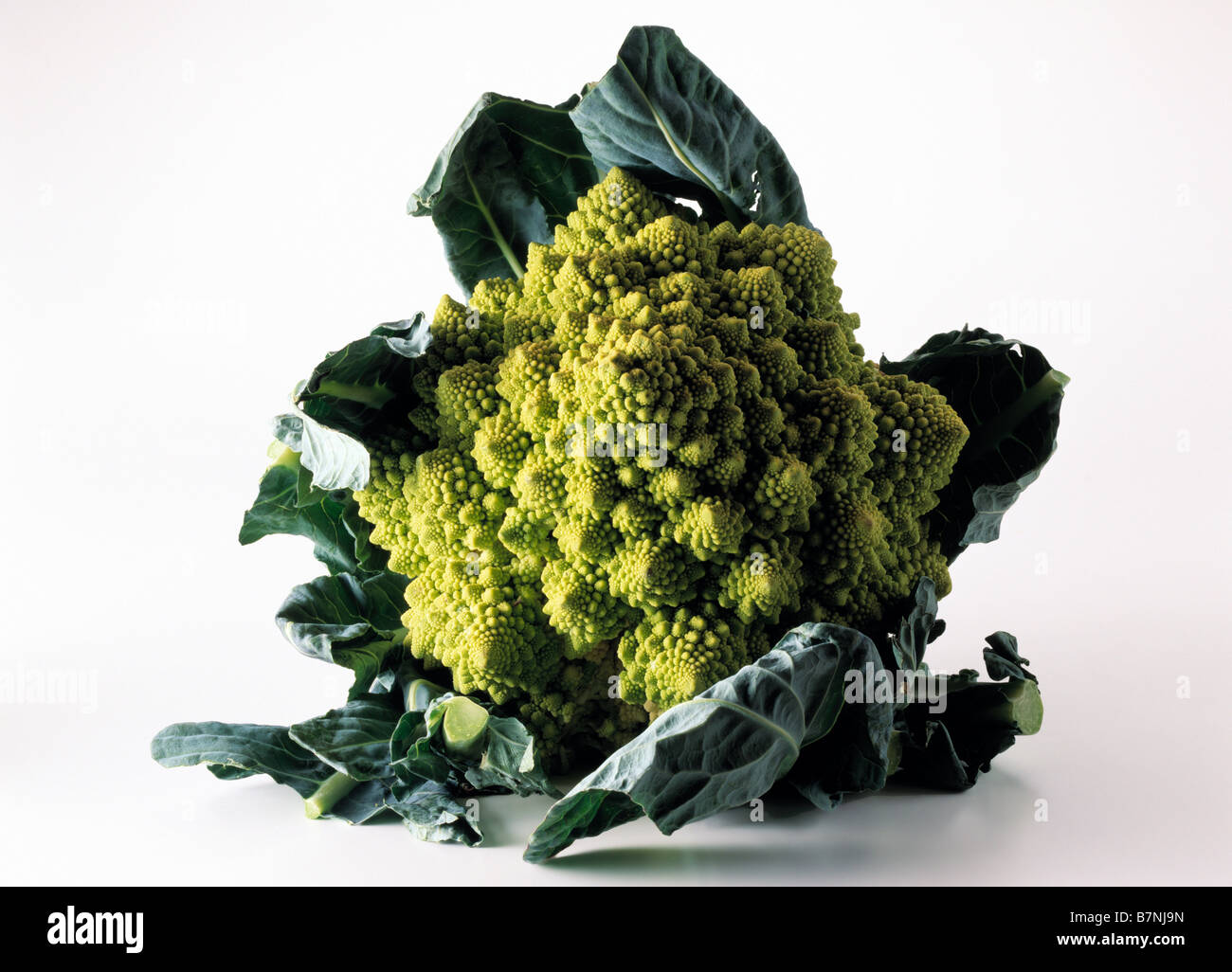 Broccoflower hi-res stock photography and images - Alamy