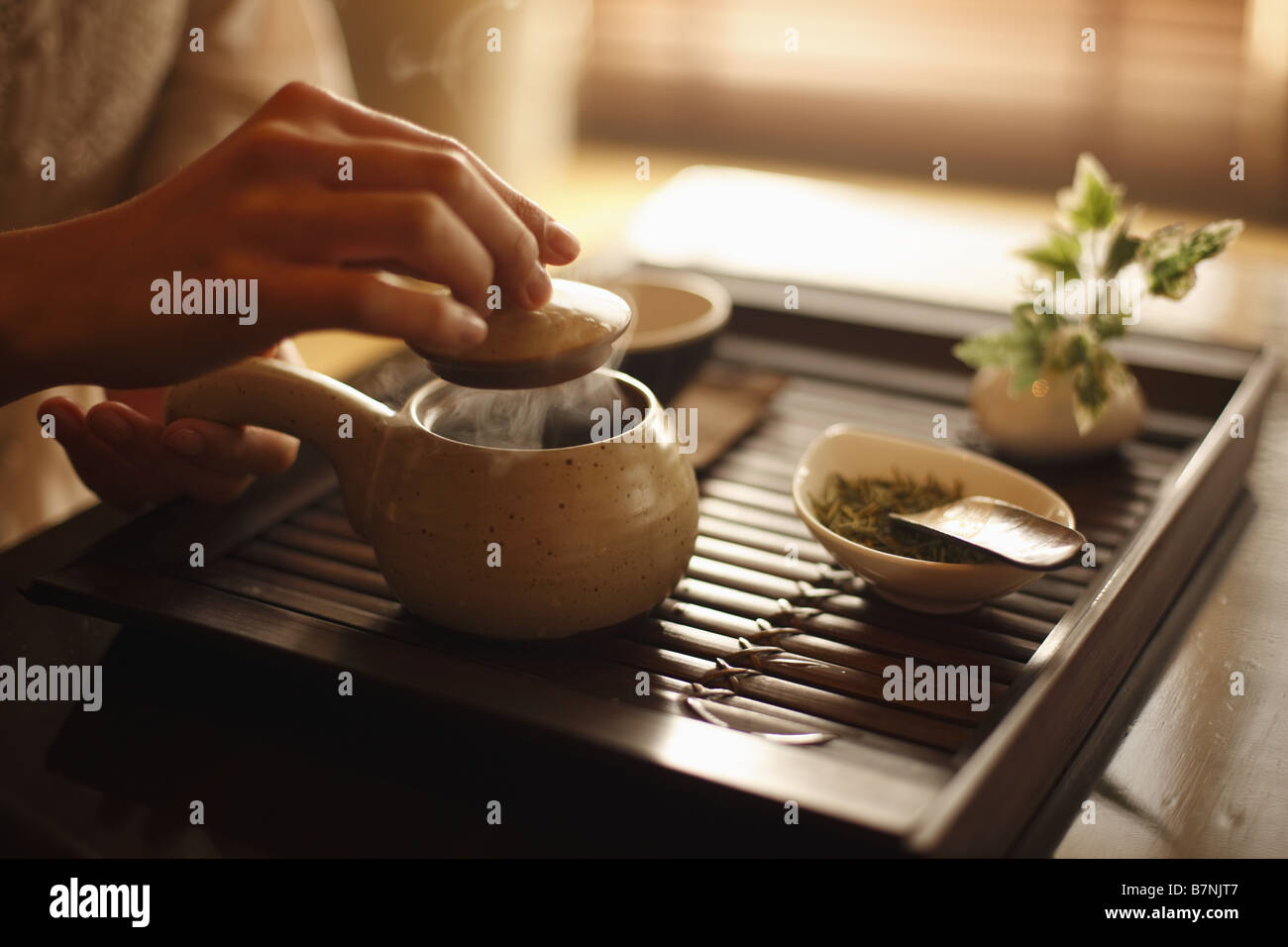 Image lid hi-res stock photography and images - Alamy