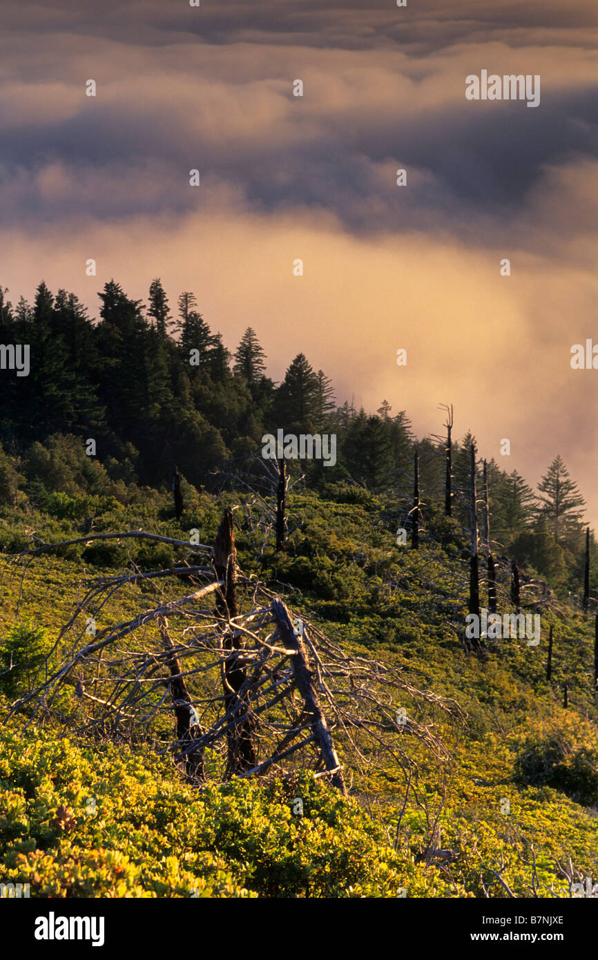 Steep slope or steeply sloping bank hi-res stock photography and images ...