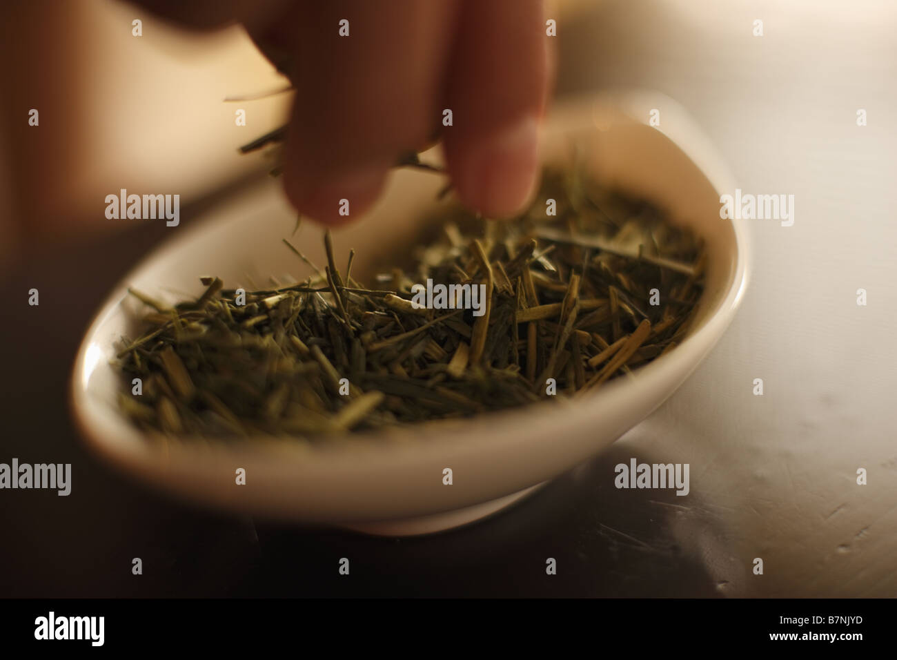 Only the young tea leaves hi-res stock photography and images - Alamy