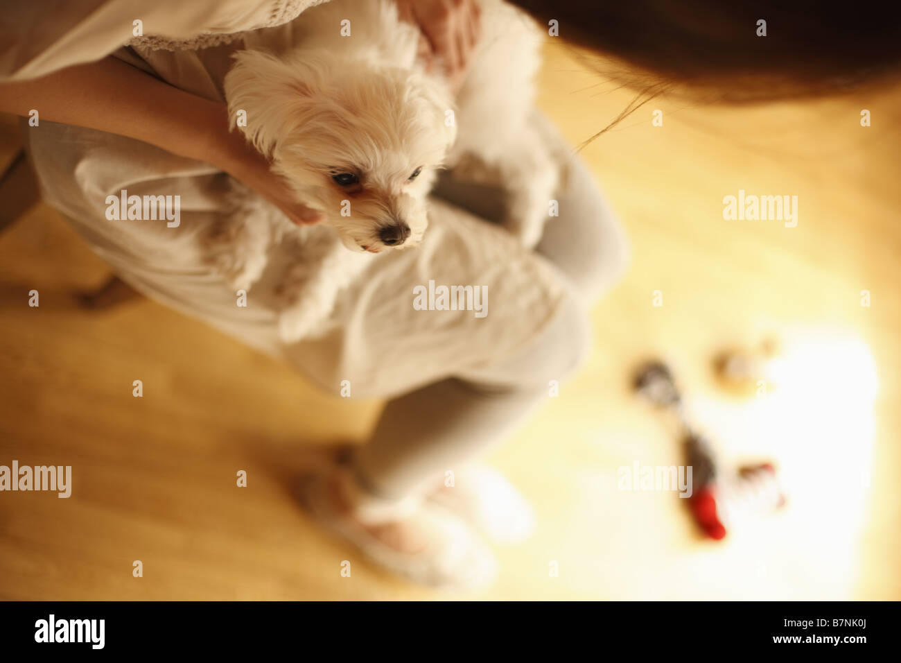 Woman stroking a dog hi-res stock photography and images - Alamy