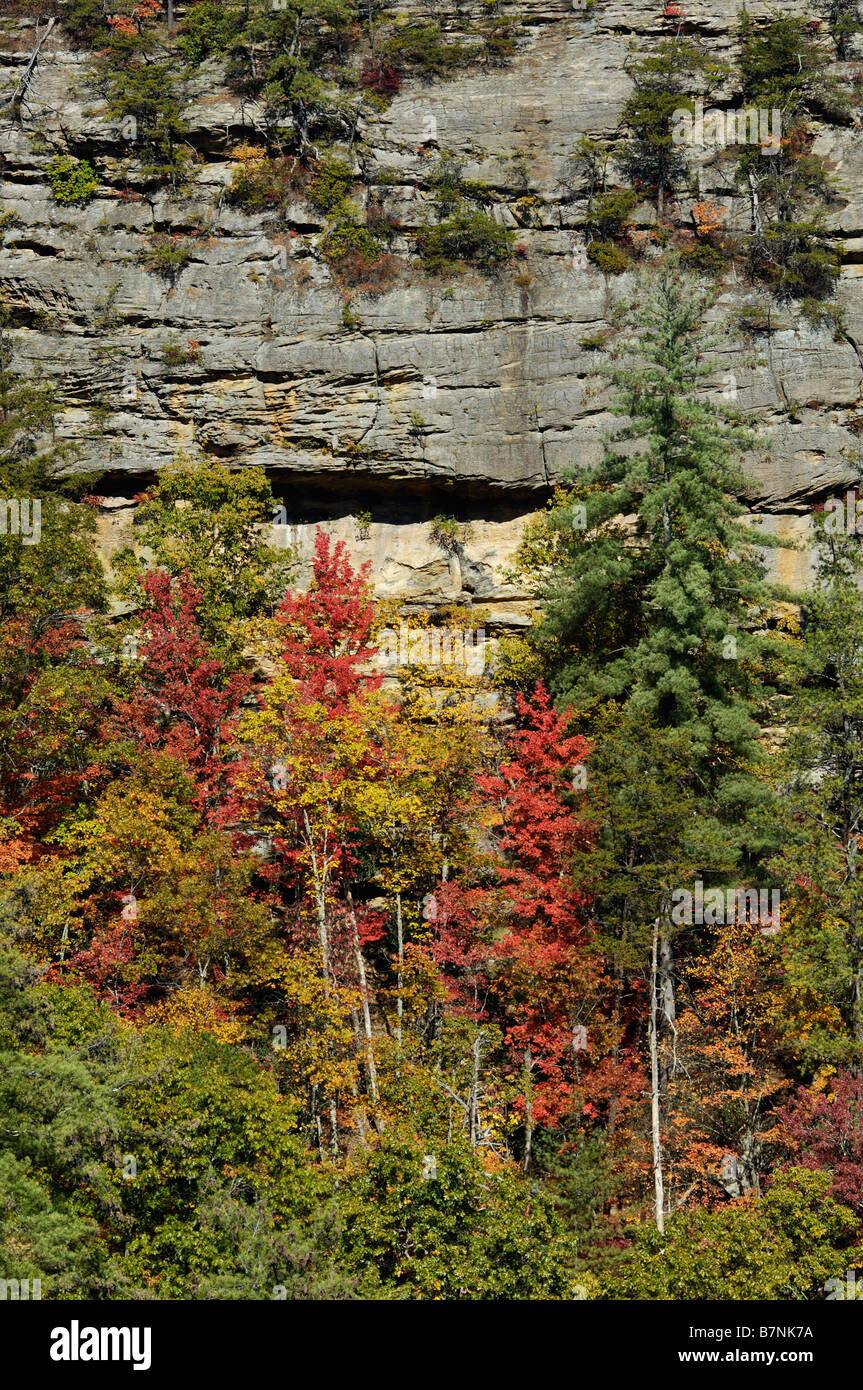 Natural bridge state park sandstone hi-res stock photography and images ...