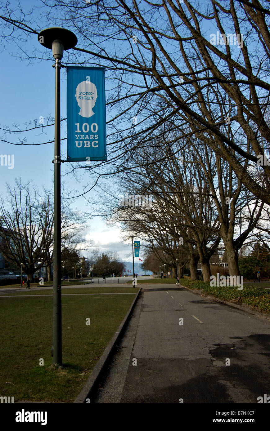 Tree lined Main Mall on UBC Campus with banners marking the 100th ...