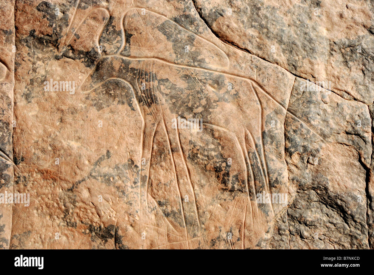 Mesolithic art hi-res stock photography and images - Alamy