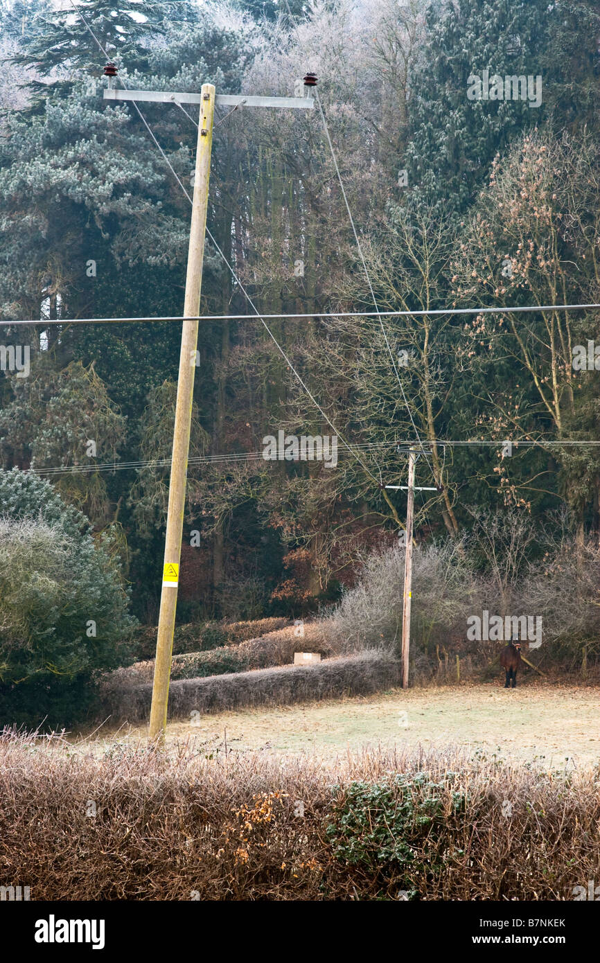 Rural power lines and poles Mid Wales UK Stock Photo - Alamy