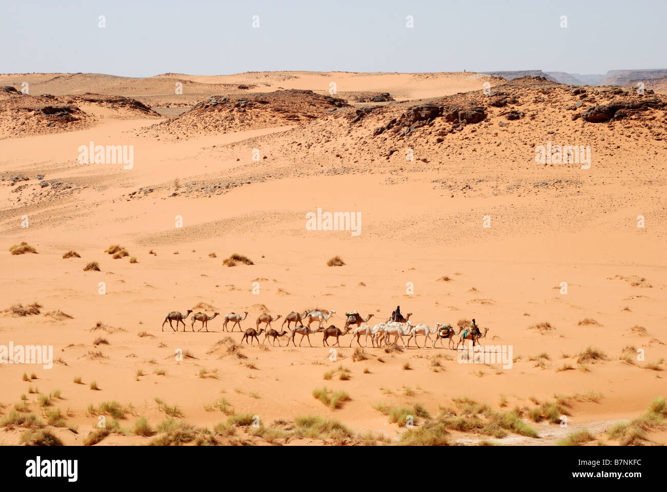 Caravan in Mesak Settafet (In Makhan Stock Photo - Alamy