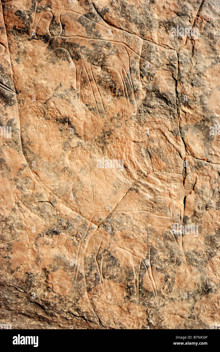 Mesak hi-res stock photography and images - Alamy