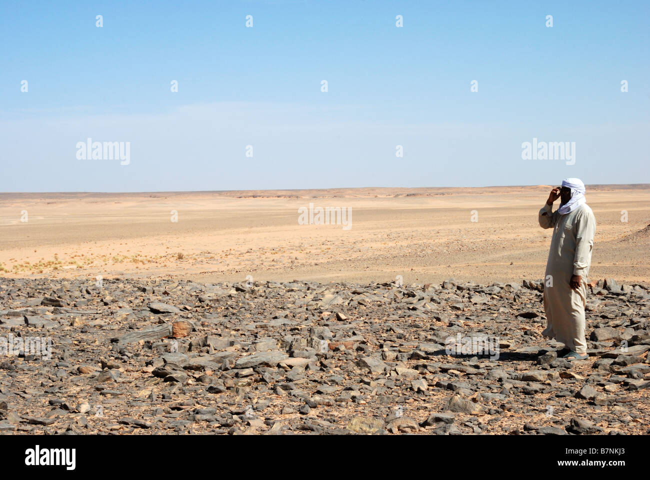 Mesak High Resolution Stock Photography and Images - Alamy