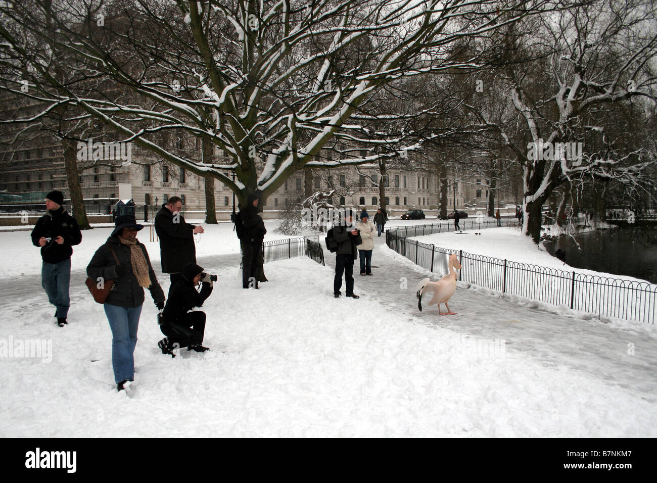 Snowfall in st james hi-res stock photography and images - Alamy
