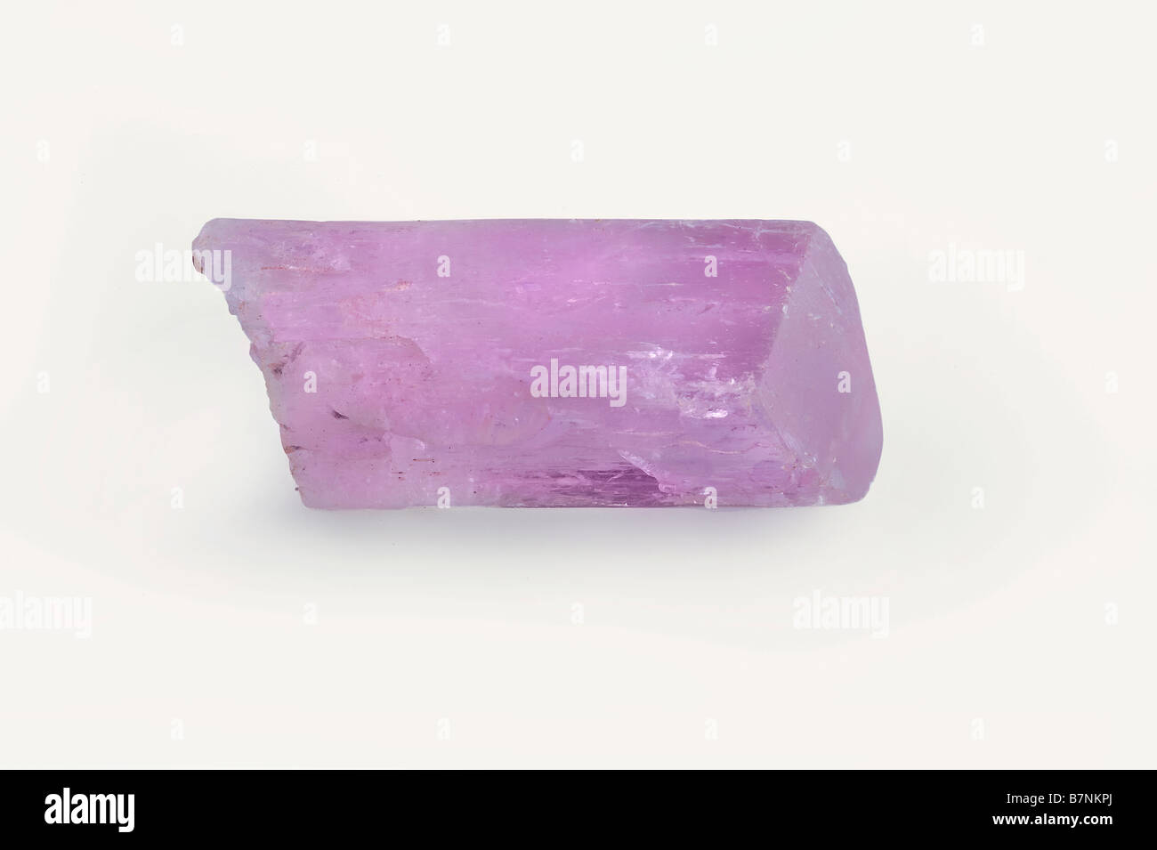 Kunzite crystal 'Pink Spodumene' on white background Stock Photo - Alamy