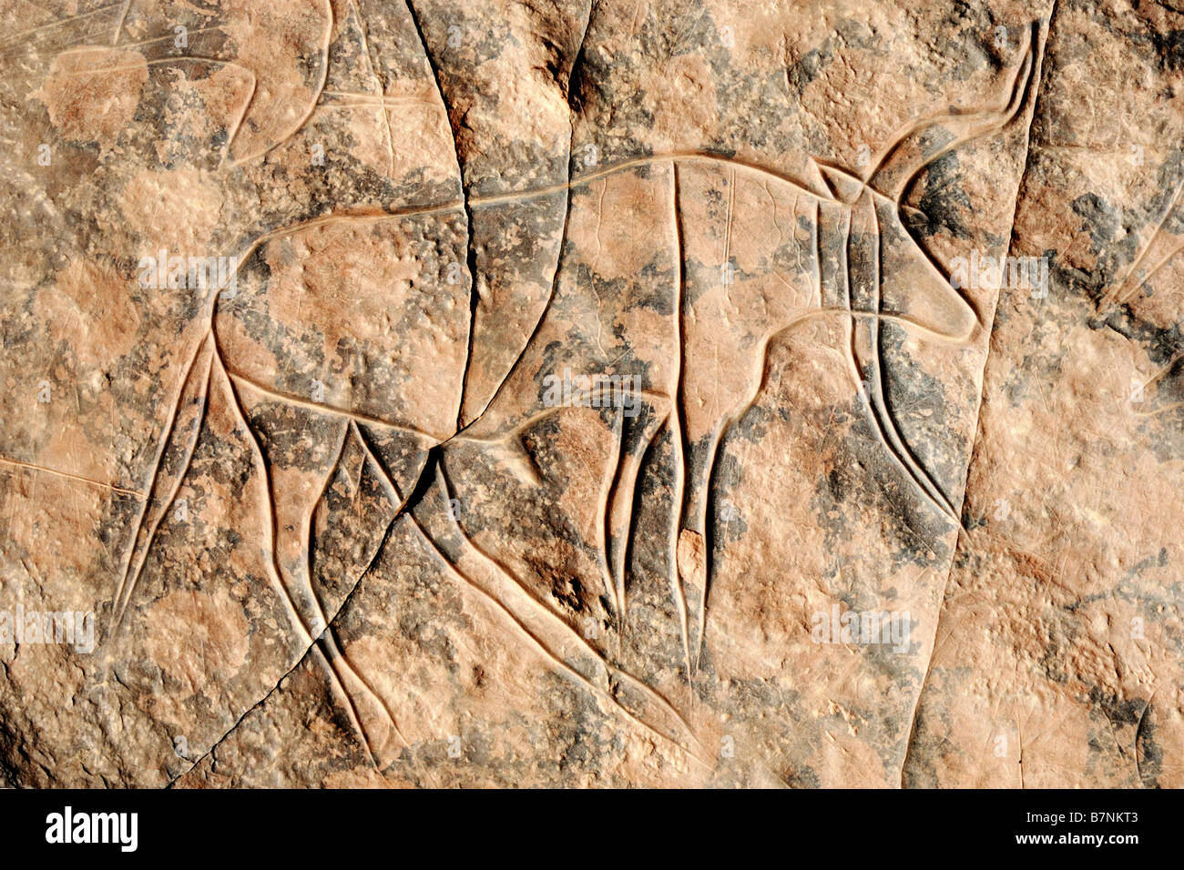 Mesolithic art hi-res stock photography and images - Alamy