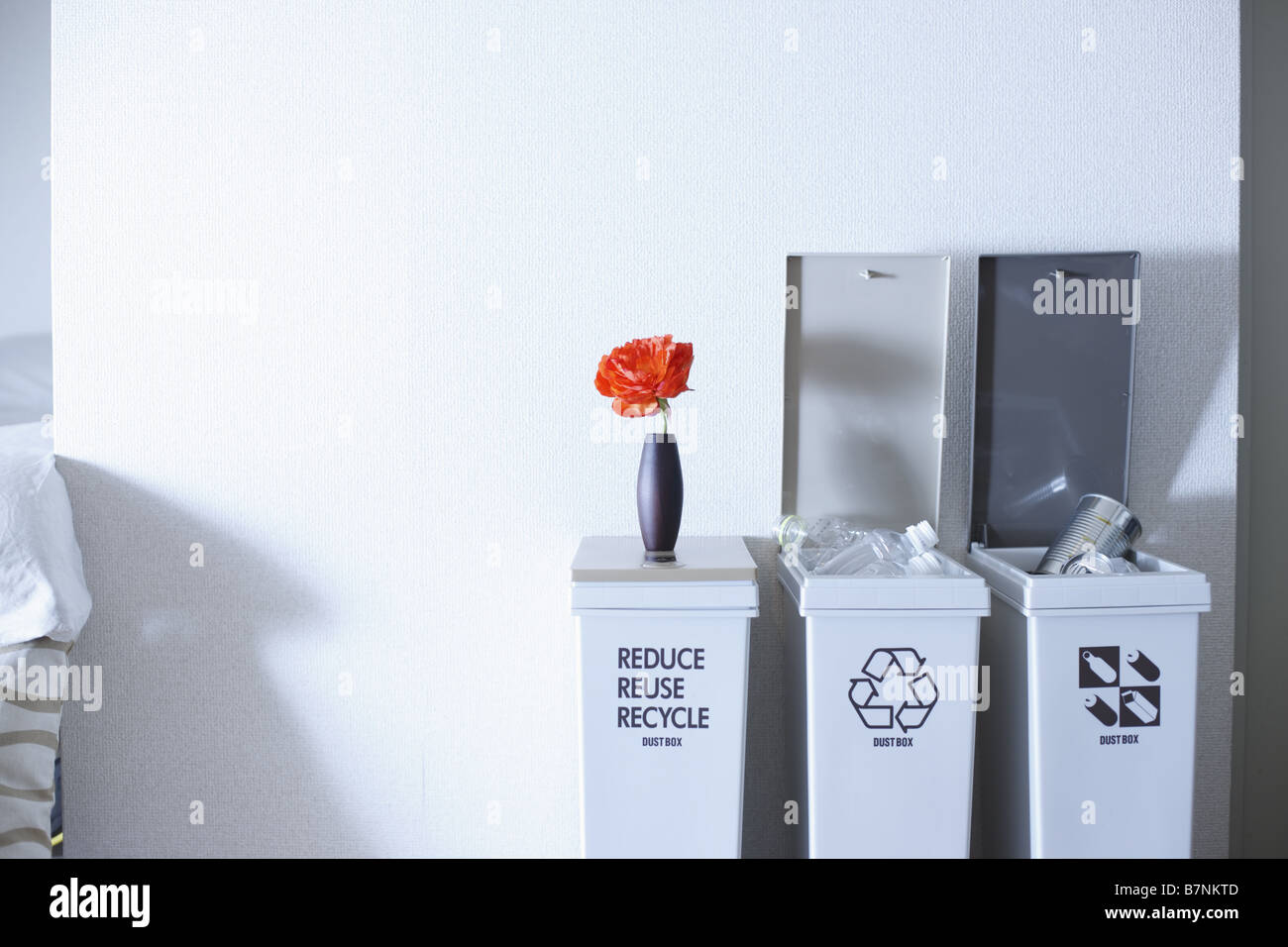 Objects ecology hi-res stock photography and images - Alamy