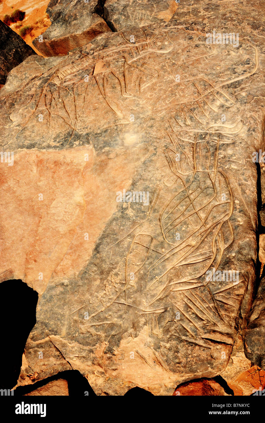 Neolithic 4000 3000 bc hi-res stock photography and images - Alamy