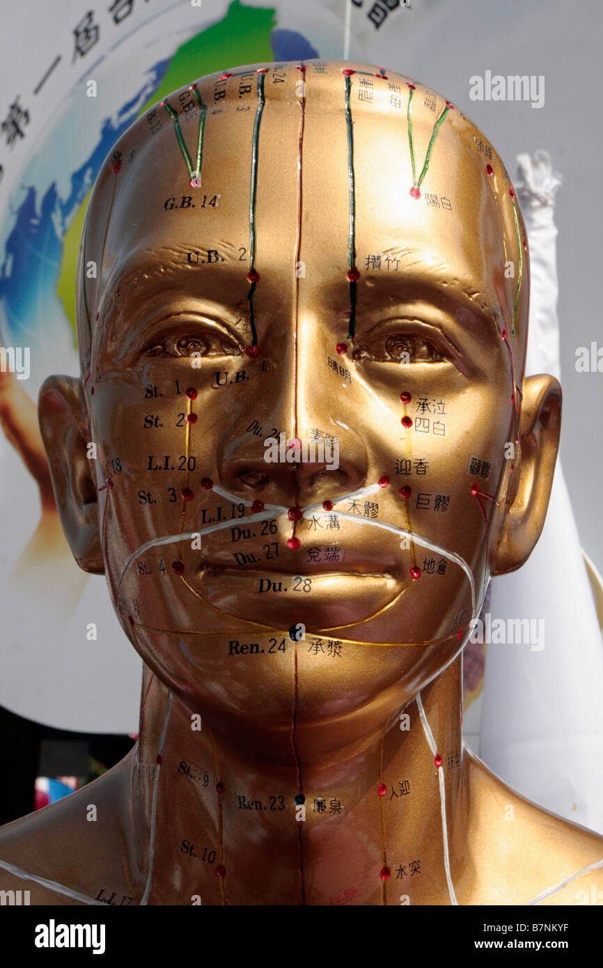 Human acupuncture point displayed by golden sculpture Stock Photo - Alamy