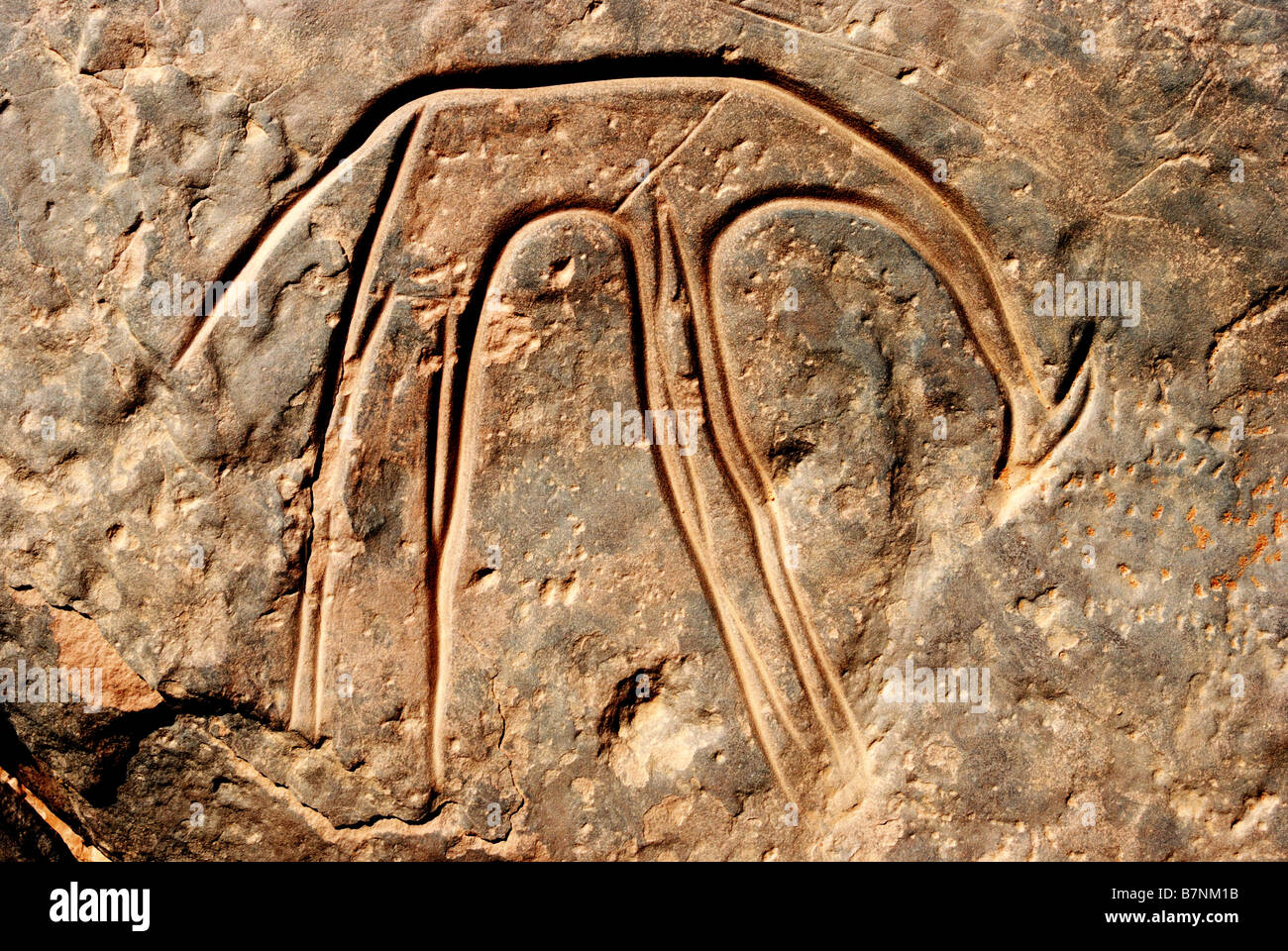 Mesak hi-res stock photography and images - Alamy